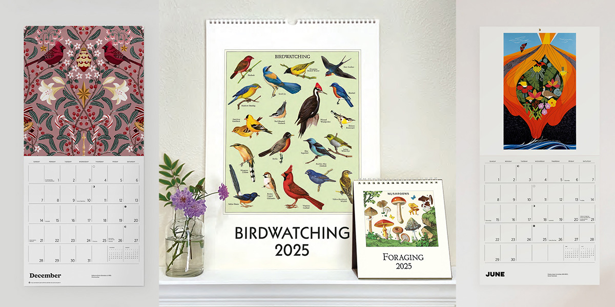 2025 Calendars and Diaries - Available for Pre-order - Live Wires Ltd ...